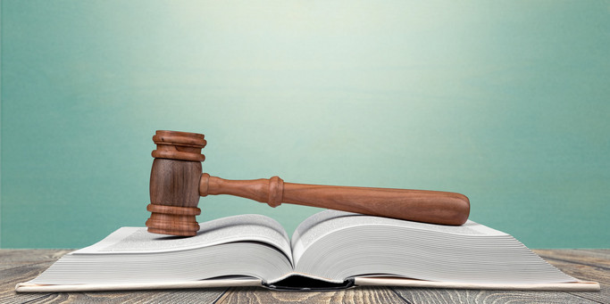 Gesetzestexte | Endriss